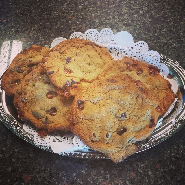 Smiling Dog Cafe | Coos Bay Toyota Dealer Showroom Cafe