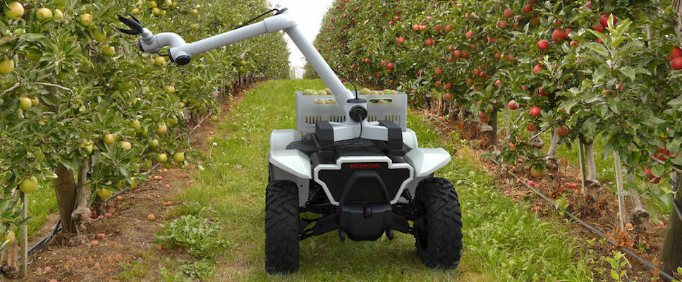 Autonomous Work Vehicles Come To Honda | Near Pasadena