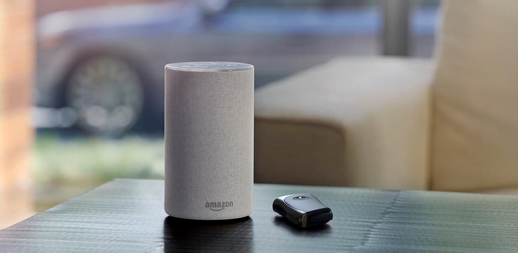 Lexus Technology and Delivery Support | Merrillville, IN