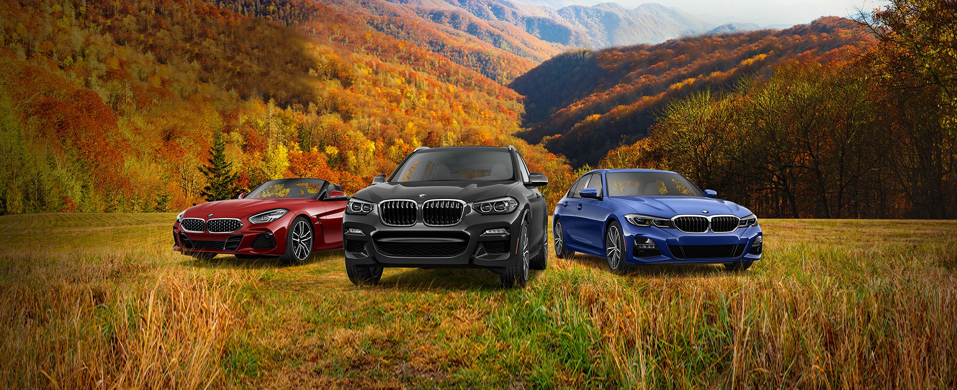 Accelerate Into Autumn Test Drive Event | Braman BMW WPB