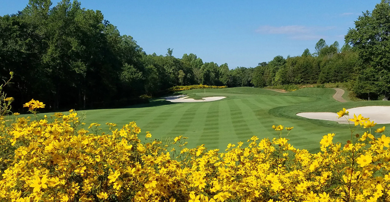 Spring Creek Golf Club | Lexus Of Richmond