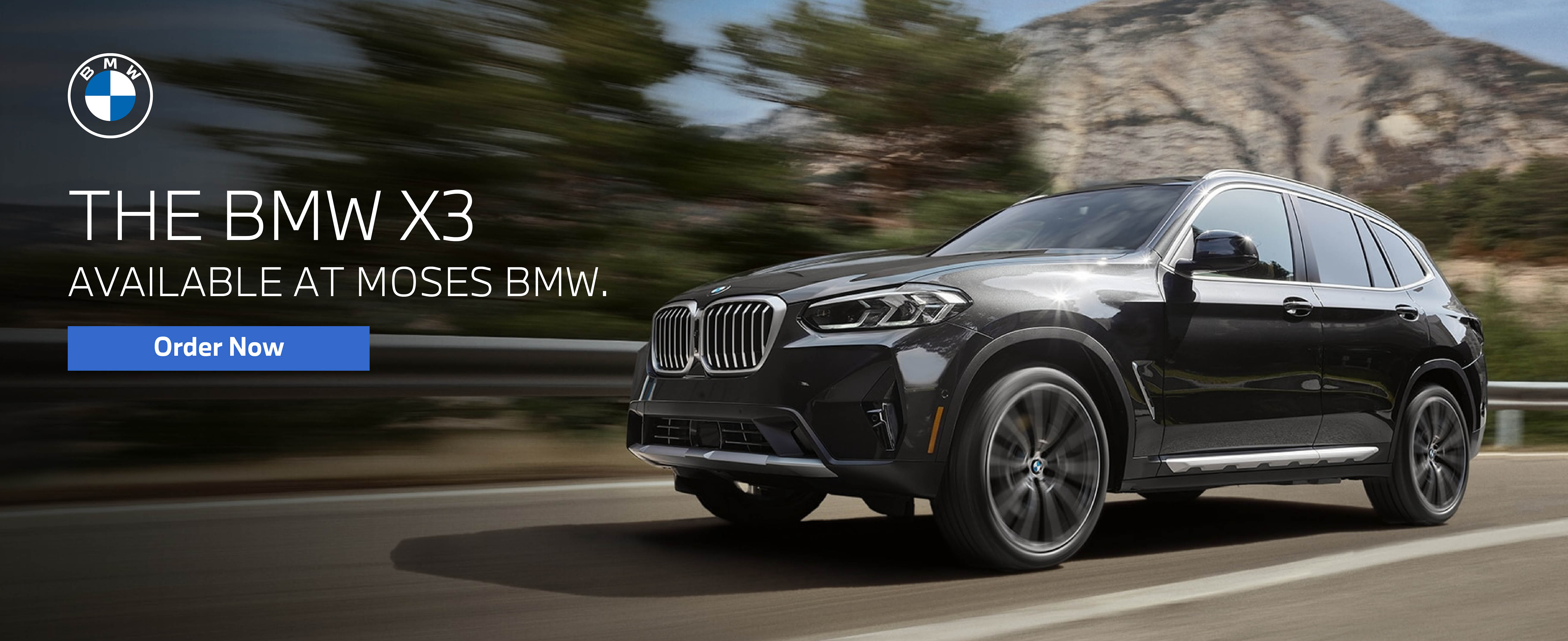 2022 BMW X3 - Moses BMW