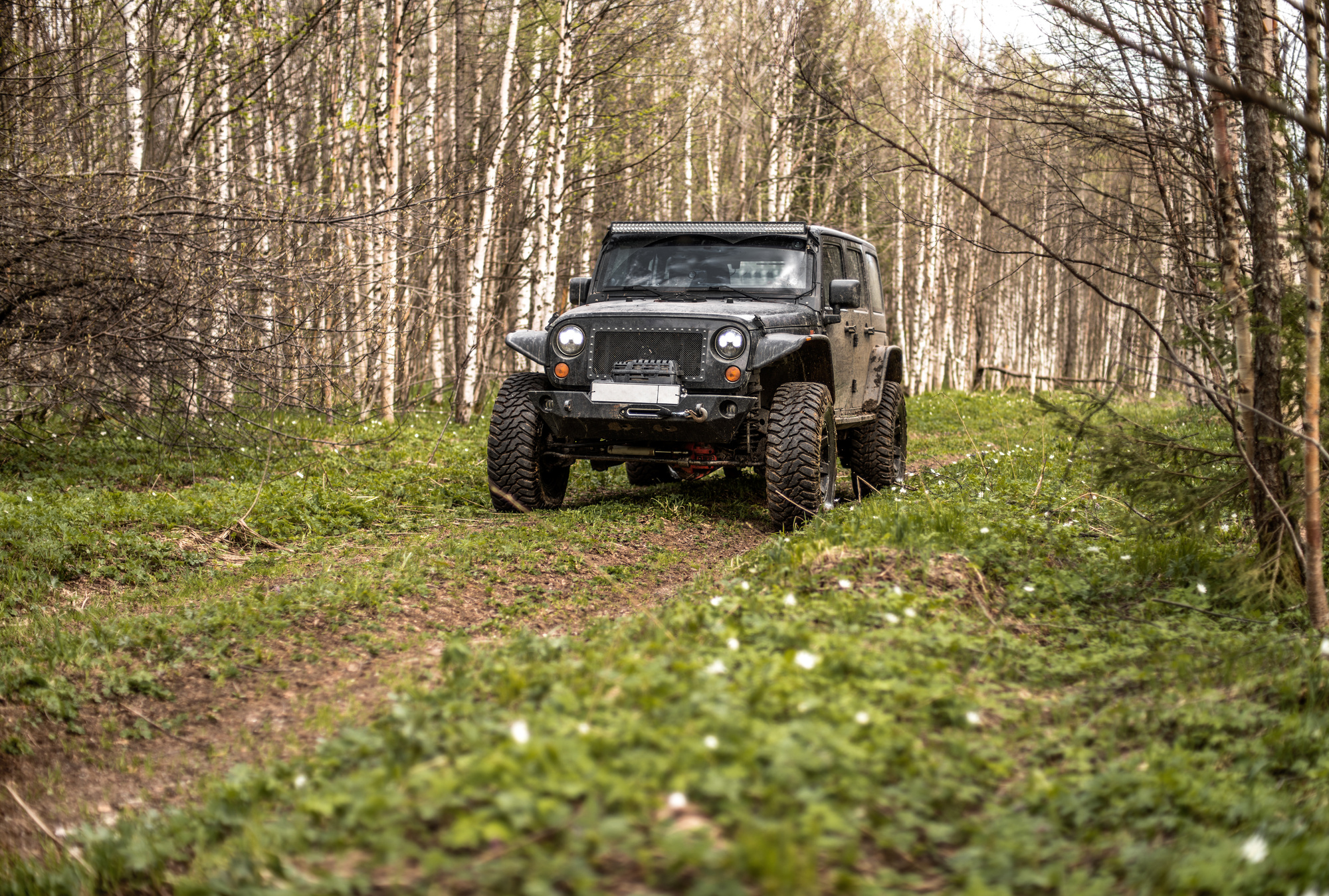 The Complete Guide to Choosing a Jeep Dealership in Turnersville, NJ ...