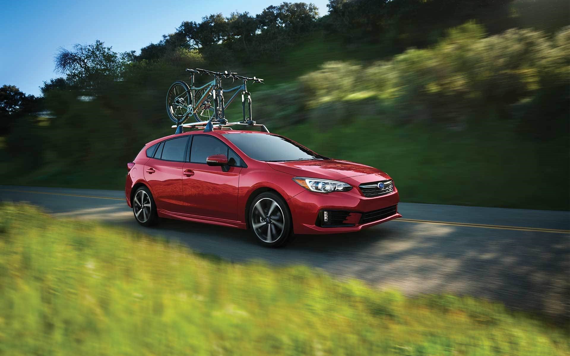 What’s the Best Subaru Model for Your Dog?