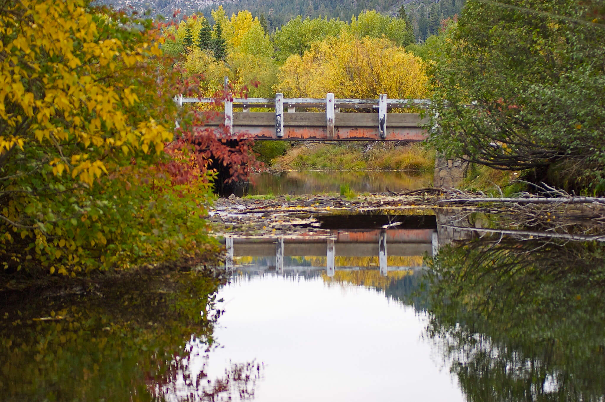 6 Places For Autumn Colors In Carson City, NV | Carson City Hyundai