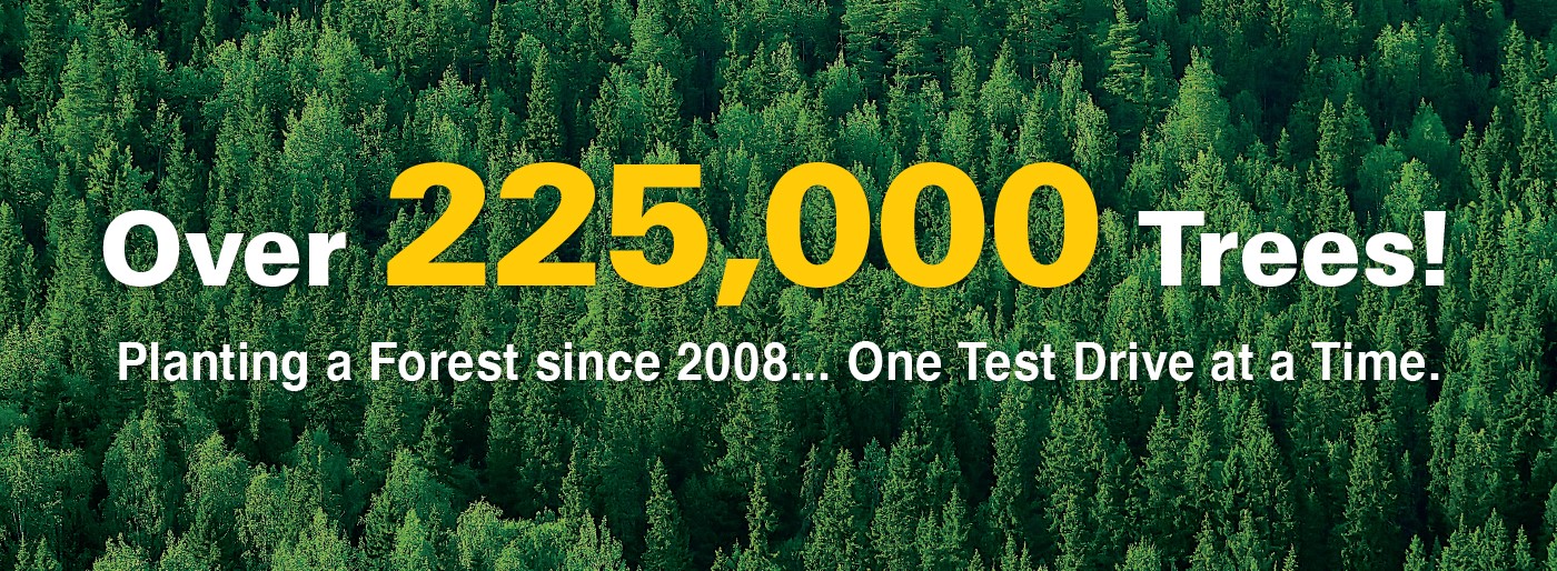 Test Drive & Plant a Tree Program in WA | Carter Subaru Shoreline
