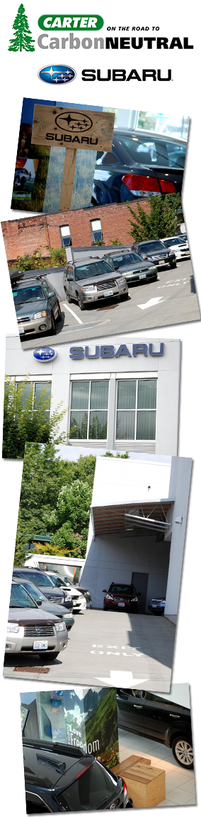 Meet The Team at Carter Subaru Shoreline in Seattle, WA