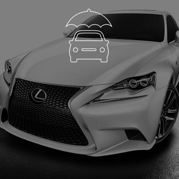 Lexus Performance Protection