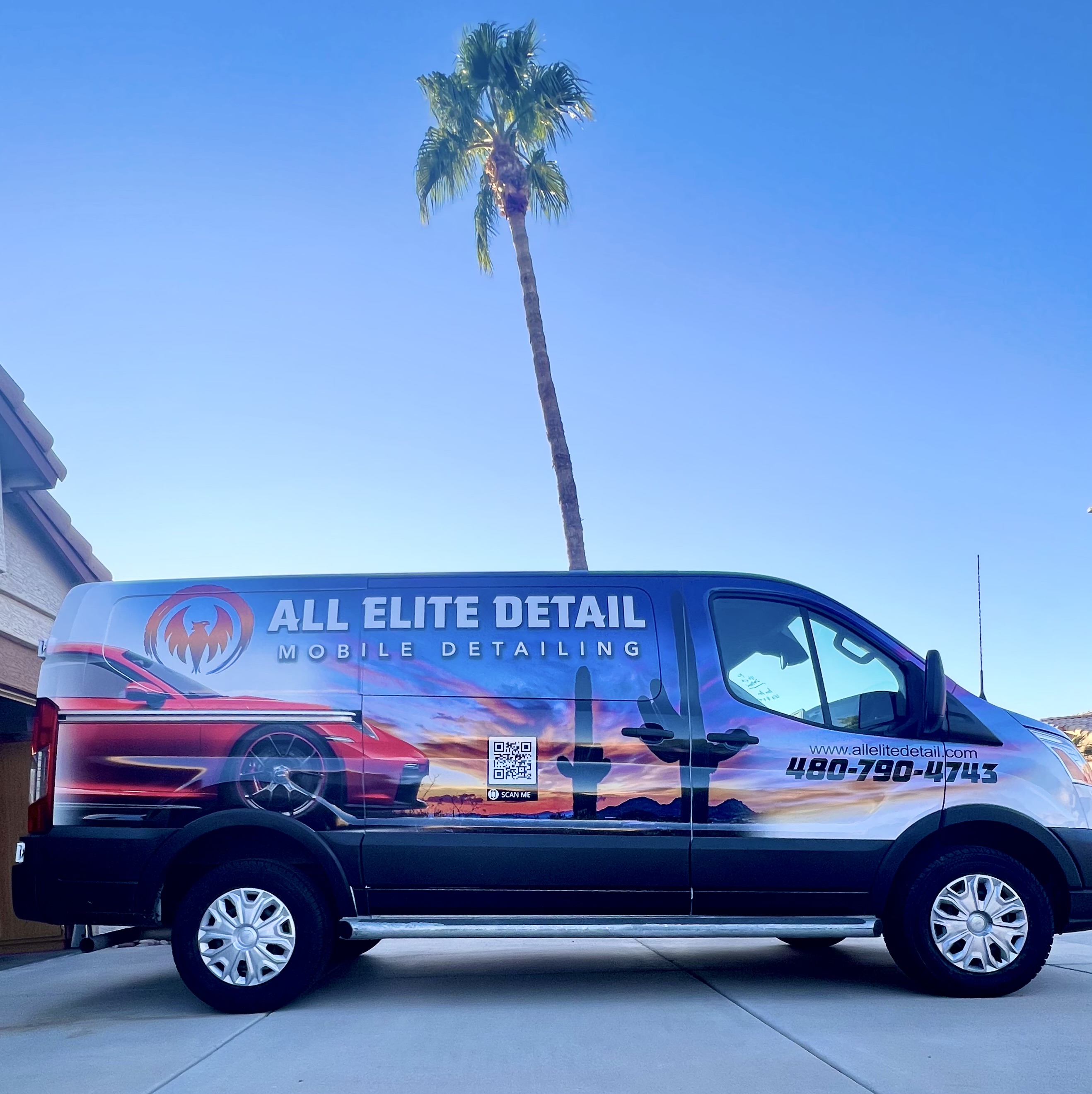 About All Elite Detail - All Elite Detail