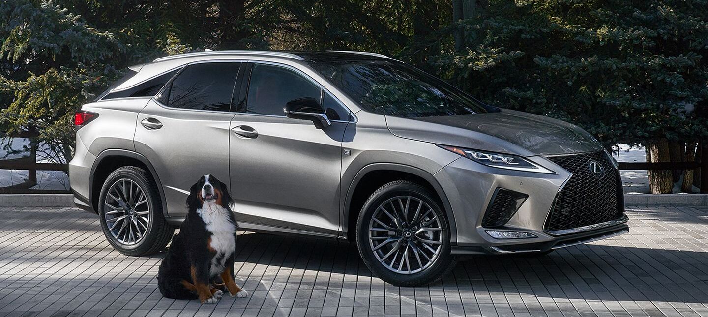 2023 Lexus RX 350 for Sale near Smithtown, NY - Lexus of Smithtown