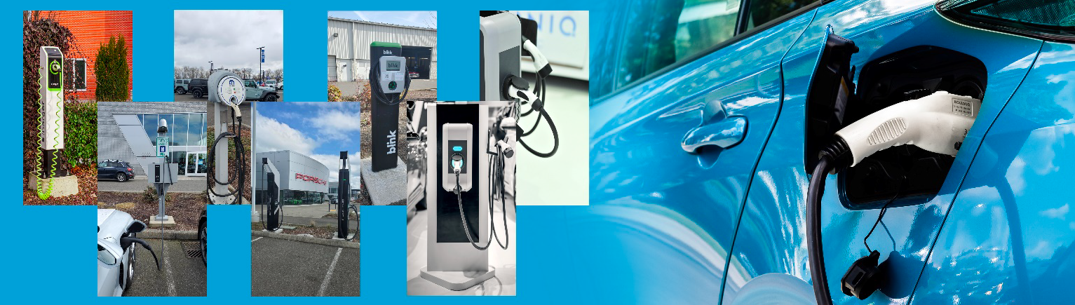 Larson Has Electric Vehicles! - Larson Automotive Group