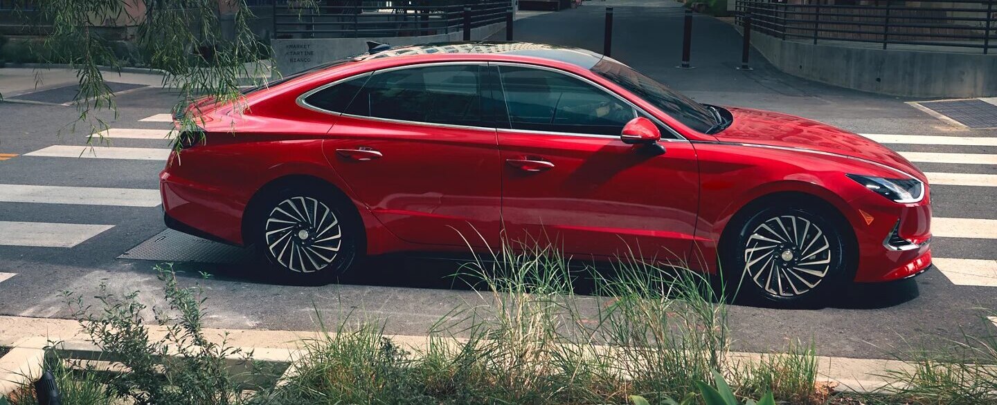 Susan Ashley Remote Control