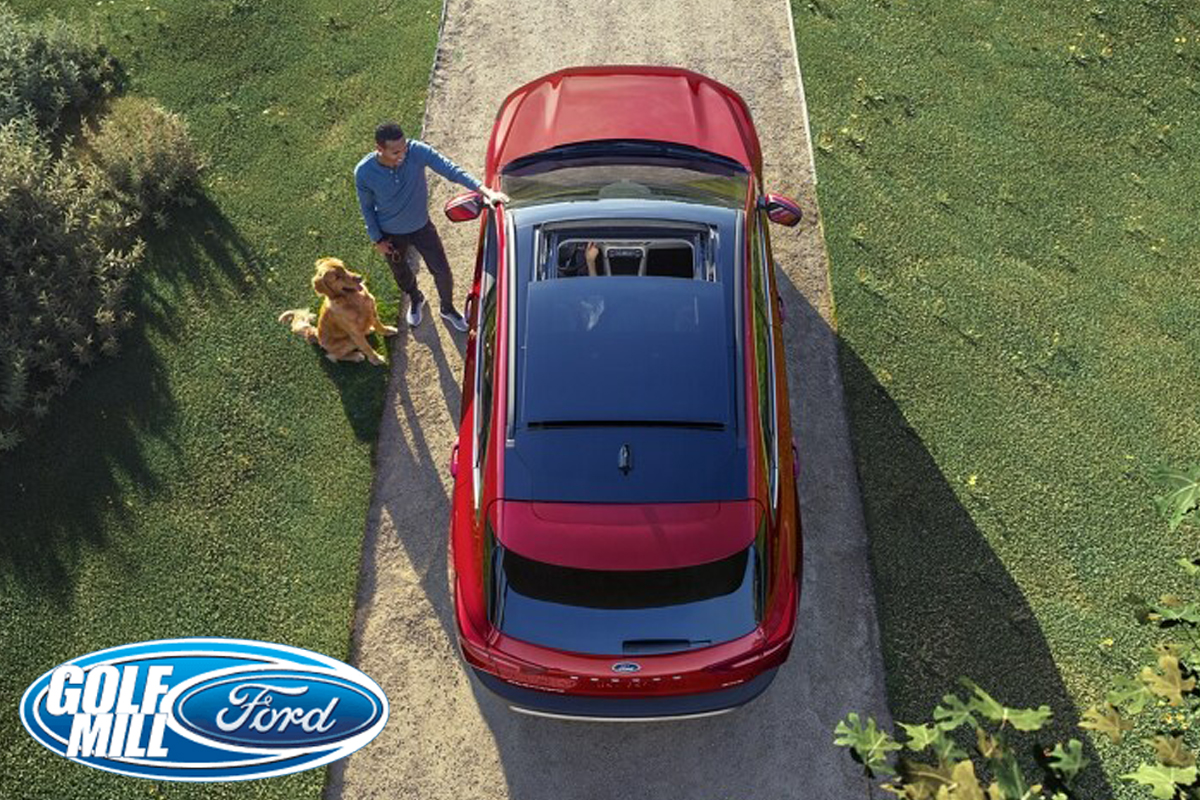 A Full Comparison Of The 2024 Ford Escape Trims - Golf Mill Ford