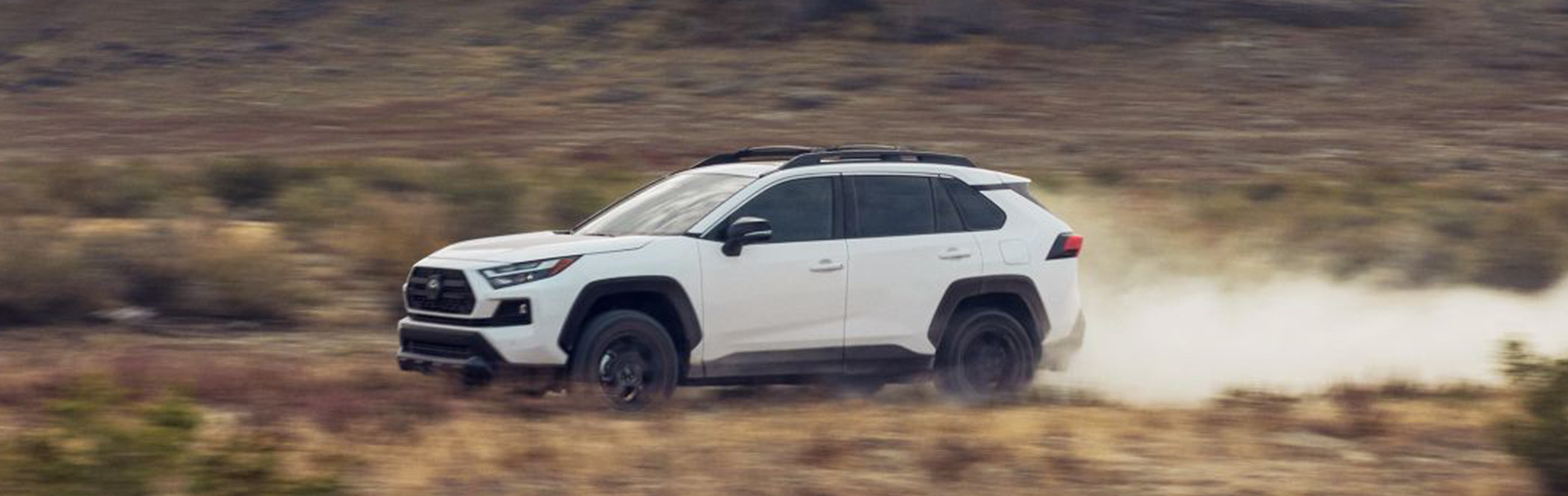 2024 Toyota RAV4 Review - San Marcos Toyota