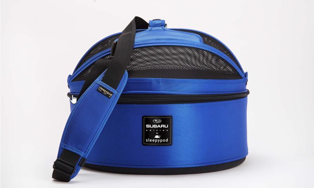 Make Sure Your Dogs and Cats Travel in Comfort and Safety - McCarthy ...