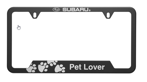 Make Sure Your Dogs and Cats Travel in Comfort and Safety - McCarthy ...