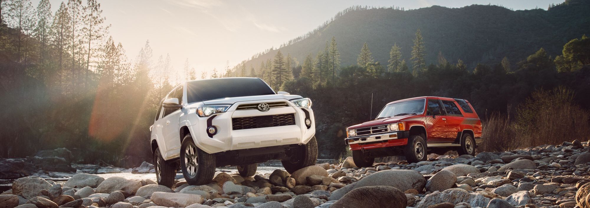 2024 Toyota 4Runner TRD Off-Road Premium Overview near Richmond, VA ...