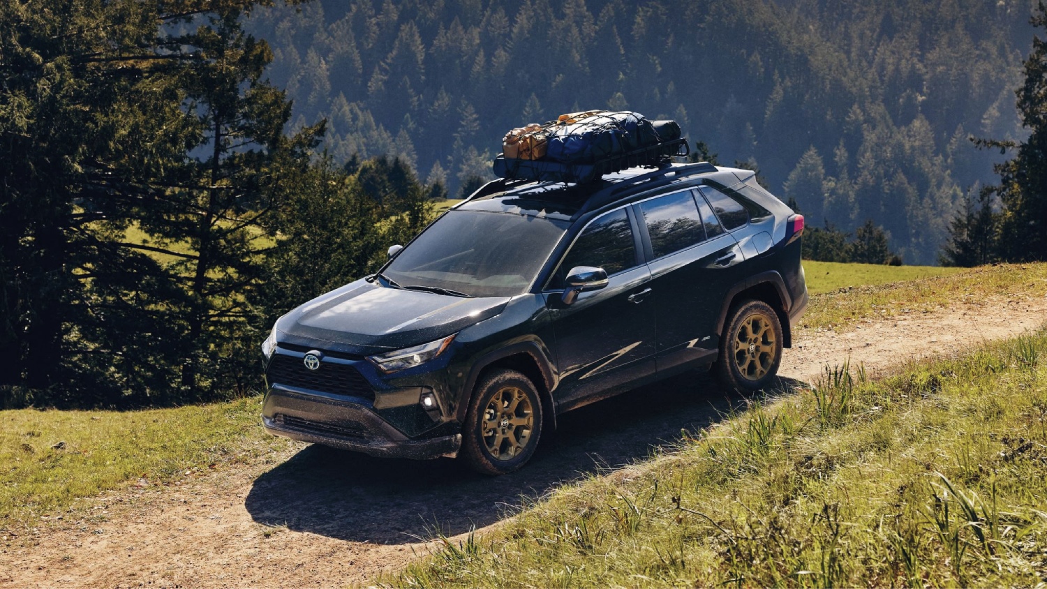 2024 Toyota RAV4 Review - Toyota of Victoria