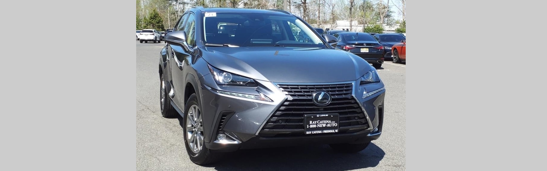 Pre-Owned Special Offers | Lexus of Freehold in Freehold New Jersey