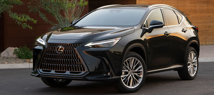 2025 Lexus NX 350 | Specs & Features | Chicago IL