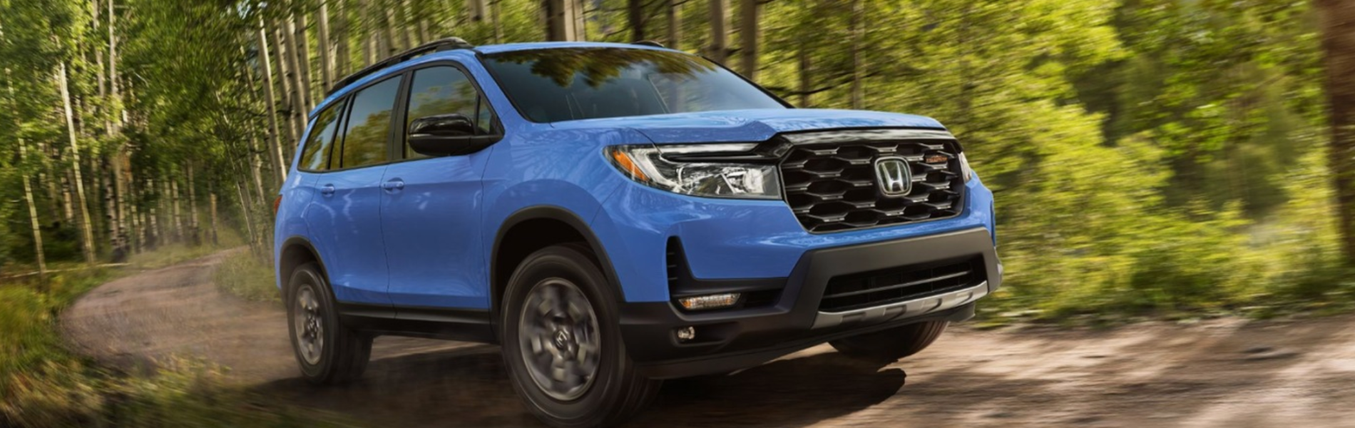 2024 Honda Passport at Lodi Honda