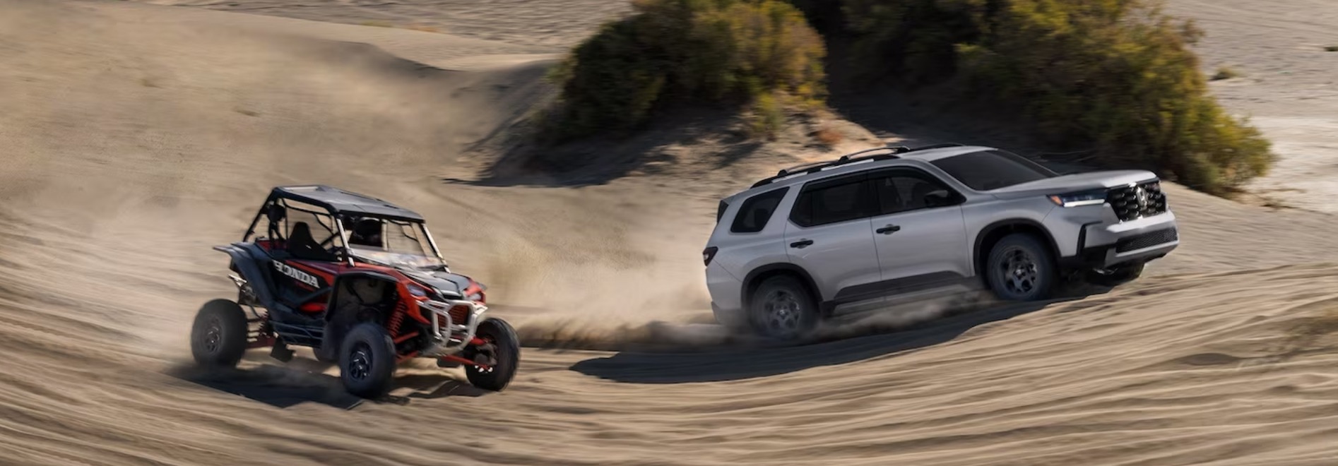 2025 Honda Pilot for Sale near Panama City, FL - Proctor Honda