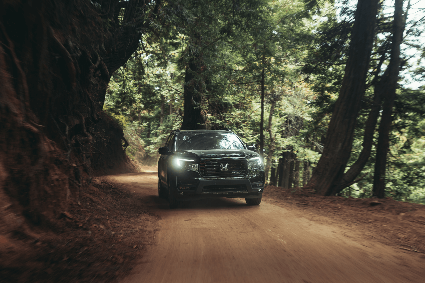 Honda Dealer Bridgewater NJ | Planet Honda New Jersey