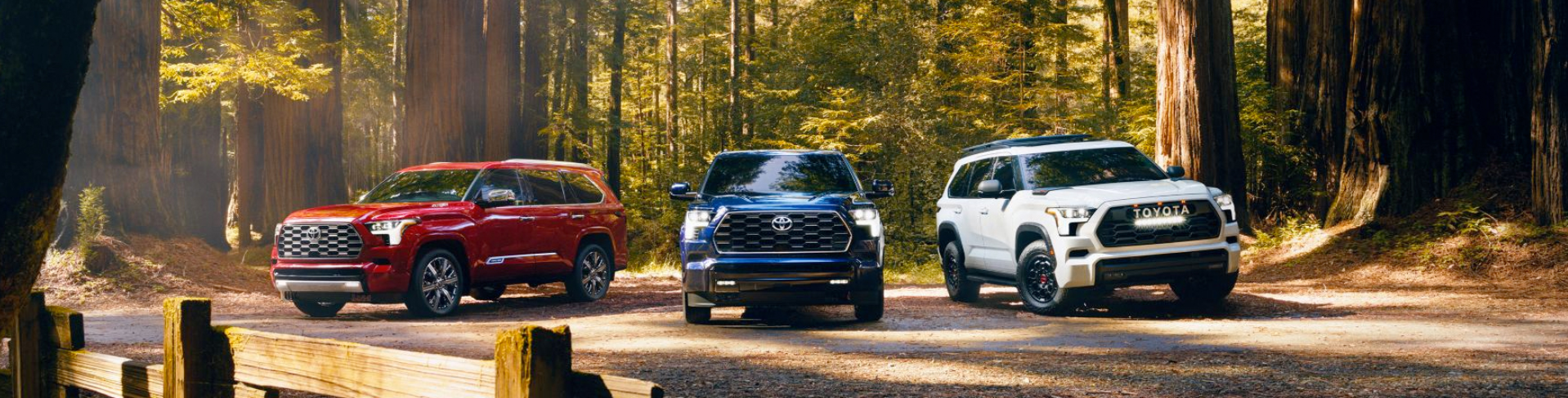 2025 Toyota SUVs Lineup | Toyota of Selma