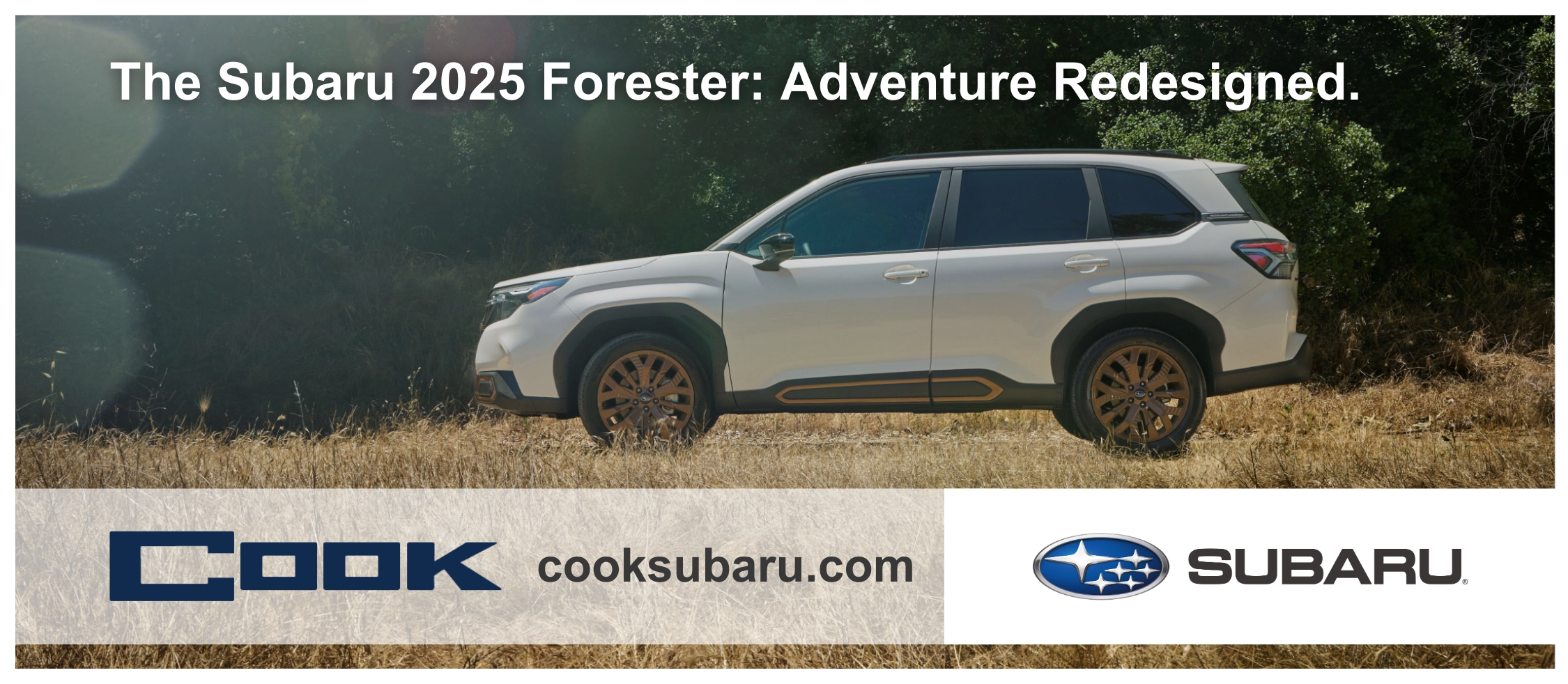 Blog & Info Center - Cook Subaru