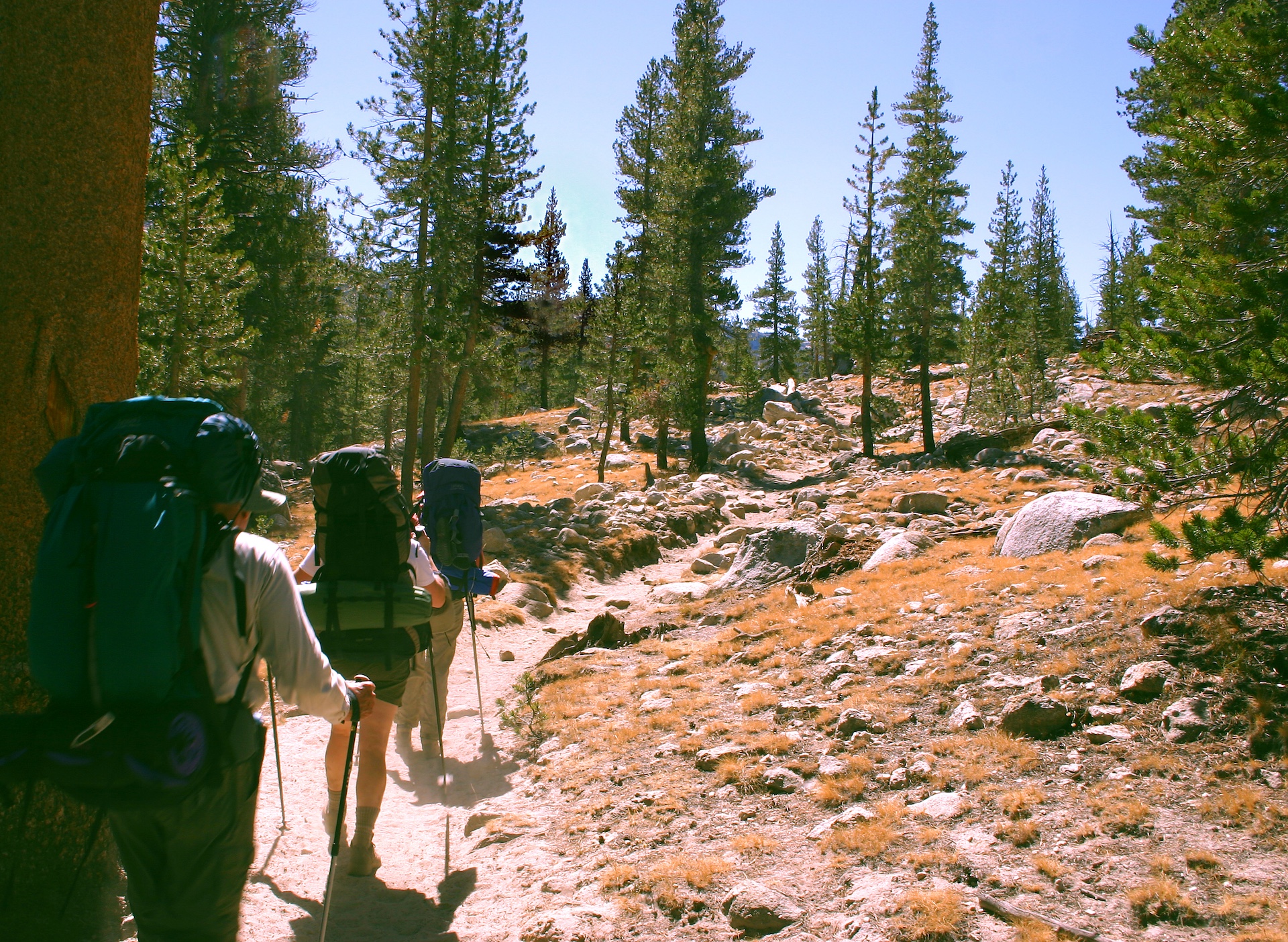 Honoring National Boy Scouts Day – Commemorating the Legacy of Scouting