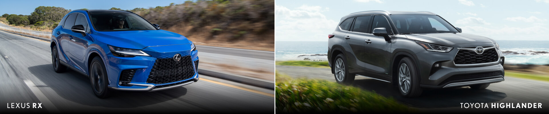 2025 Lexus RX 350 Vs. 2025 Toyota Highlander