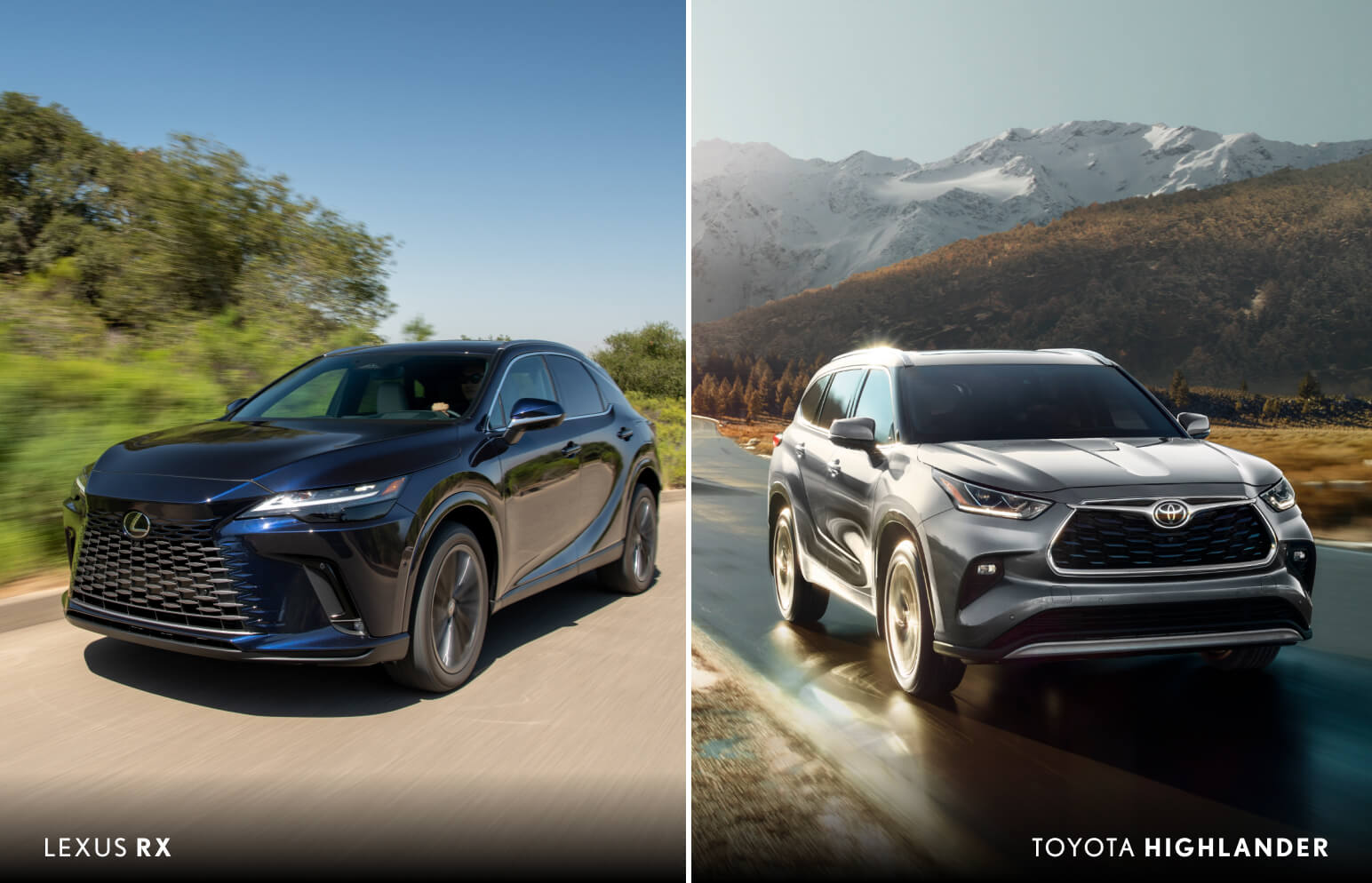 2025 Lexus RX 350 Vs. 2025 Toyota Highlander