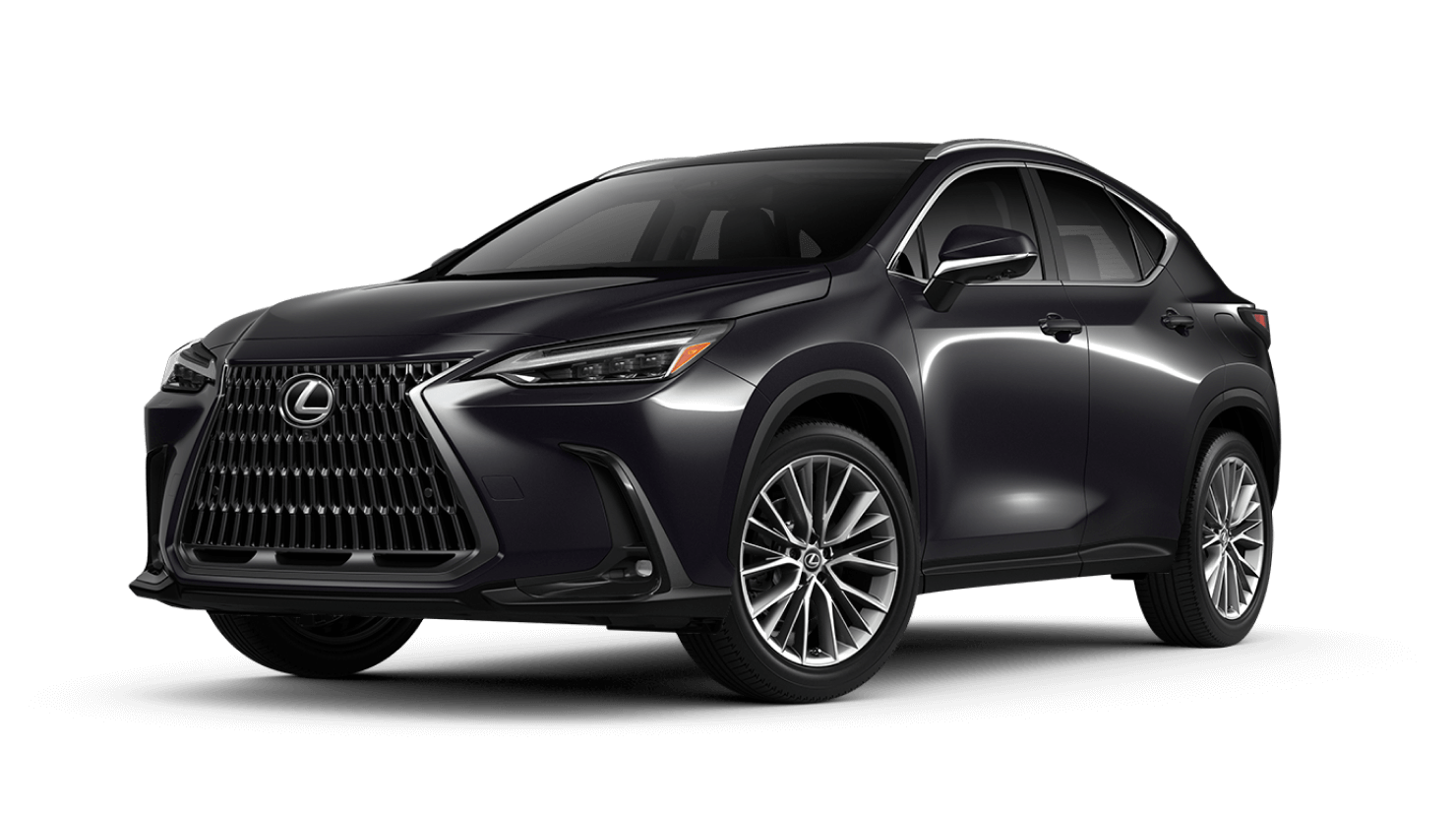 2025 Lexus NX Vs. RX: What's The Difference?