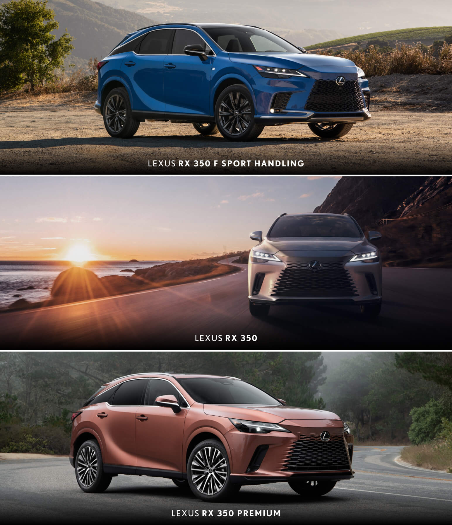 2025 Lexus RX 350 Vs. 2025 Toyota Highlander