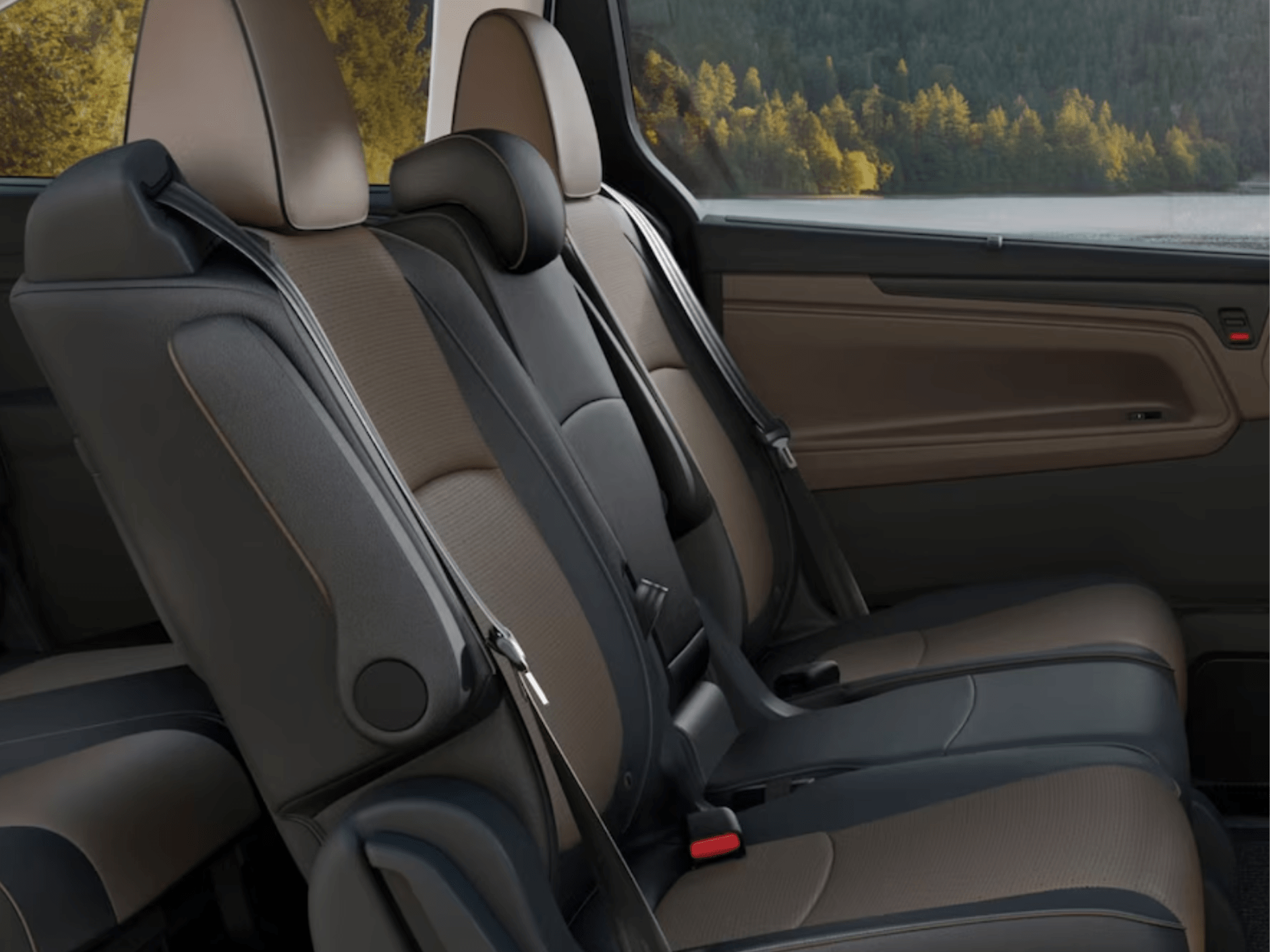 2025 Honda Odyssey - Lodi Honda