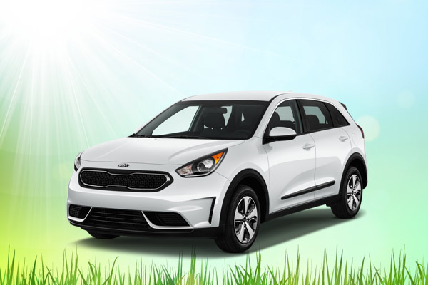 Kia Green Team - Lee Johnson Kia