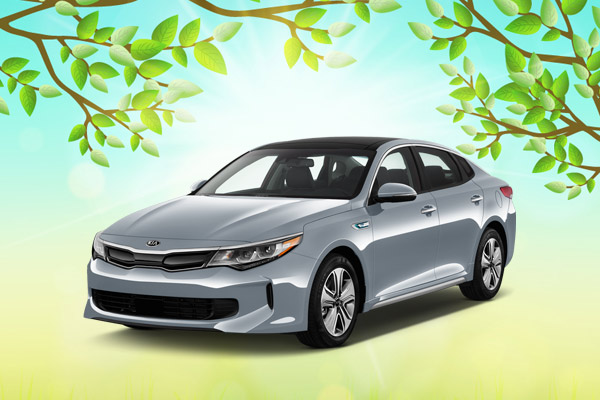 Kia Green Team - Lee Johnson Kia