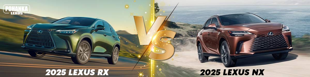 2025 Lexus RX vs. NX: Comparing The Differences