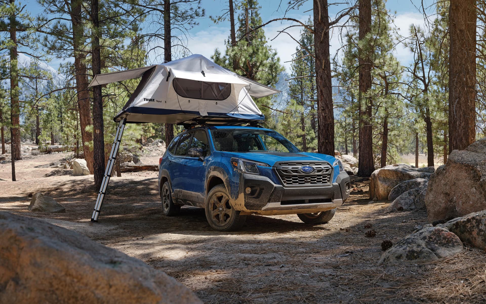 2022 Subaru Forester