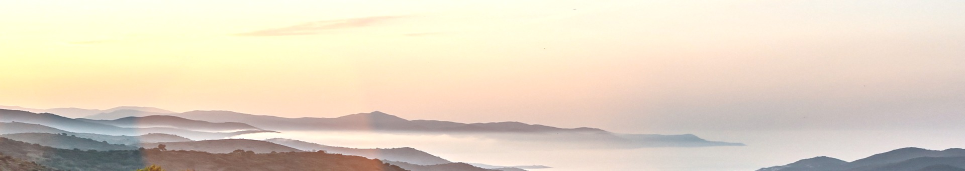 Castle Upgrade Program - Castle Cars