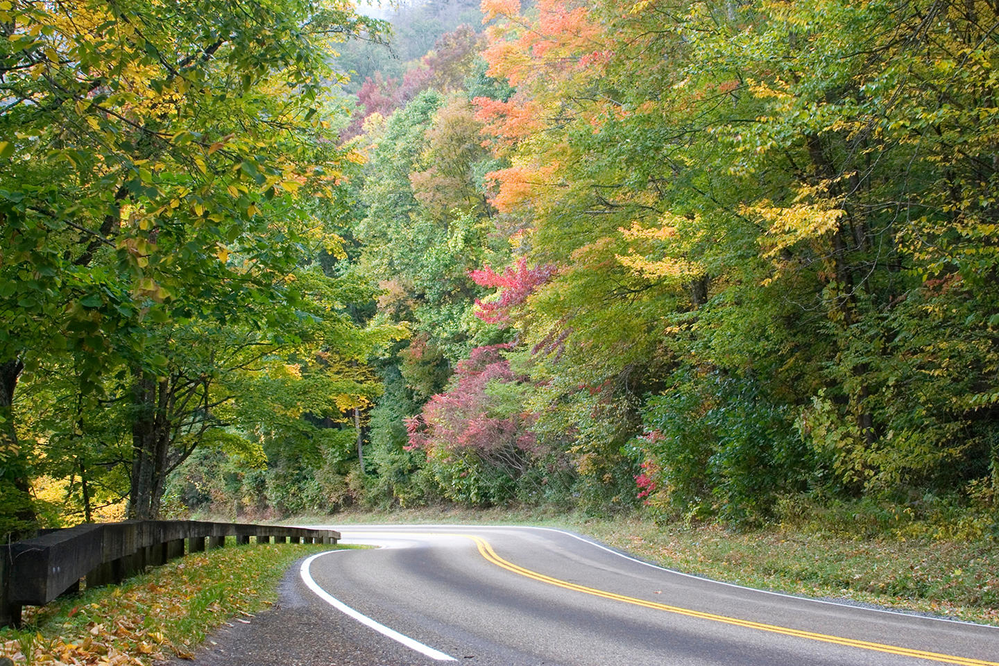 10 Scenic Drives to Add to Your RV Bucket List - Clear Creek RVs