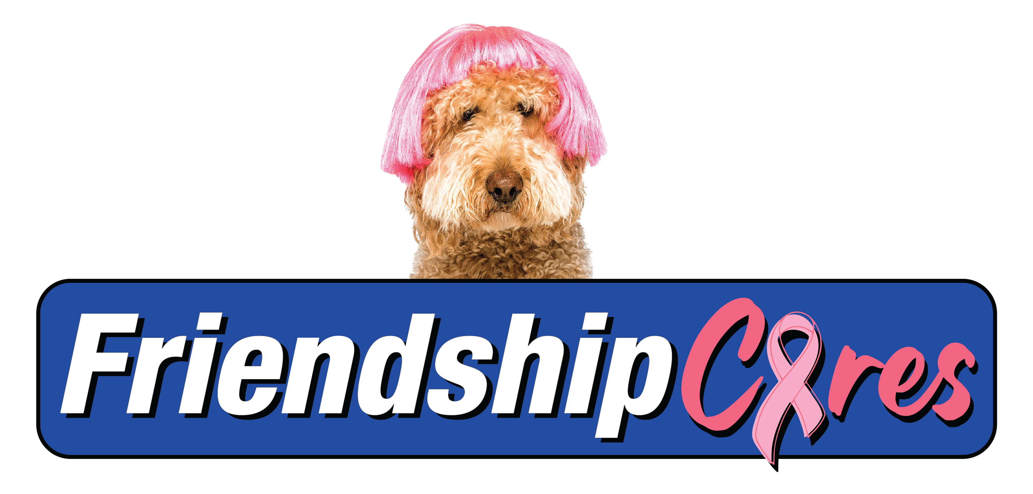 Friendship Cares - Friendship Cars