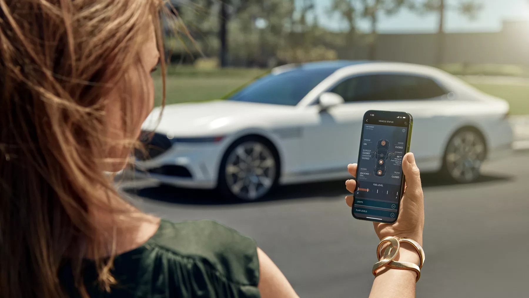 Genesis Certified - Genesis of Alexandria