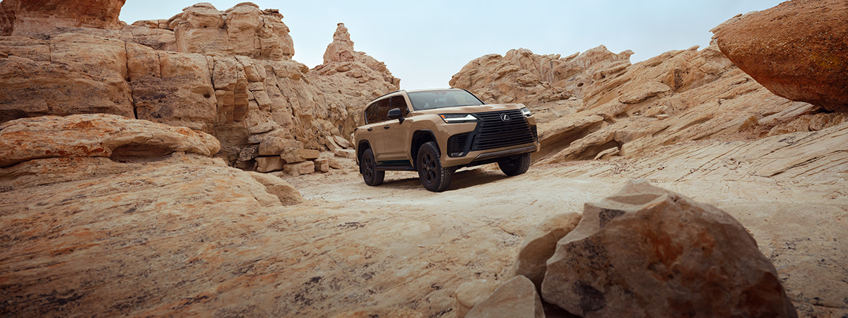 2025 Lexus LX Hybrid