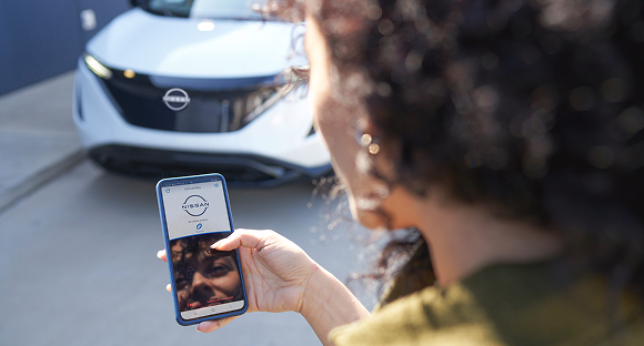 EV Ownership - Formula Nissan