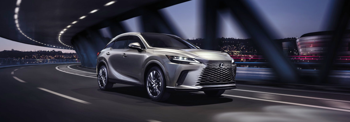 Lexus RX Size Comparison to Popular SUVs