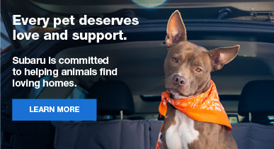 Subaru Dealer Springfield VA New & Used Cars for Sale near Woodbridge ...